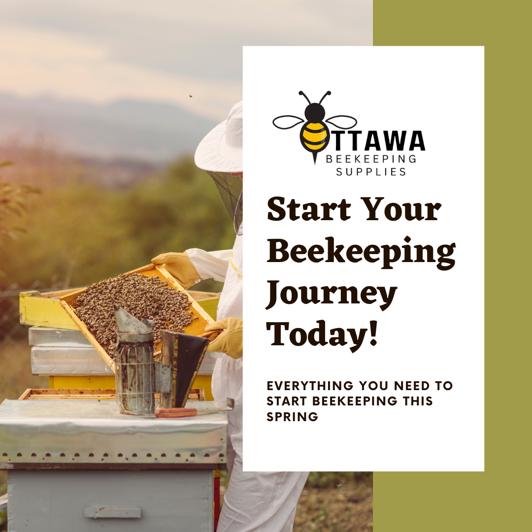 Beginner's Guide to Beekeeping: Start Your Journey in Ottawa Today ...